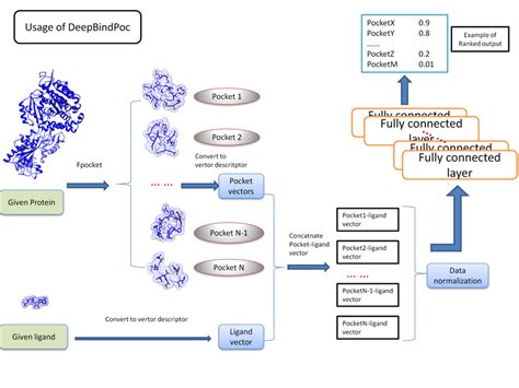 DeepBindPoc A Deep Learning Method To Rank Ligand Binding Pockets Using Molecular Vector