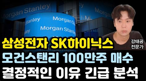 주식 삼성전자 Sk하이닉스 모건스탠리 100만주 매수 결정적 이유 긴급 분석삼성전자전망sk하이닉스전망2차전지전망