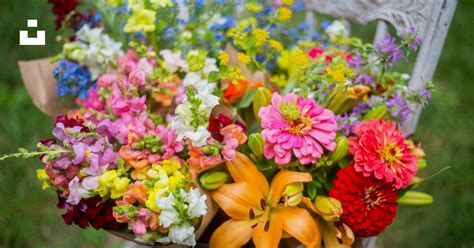 꽃병에 들어있는 꽃 한 무리 사진 Unsplash의 무료 식물 이미지