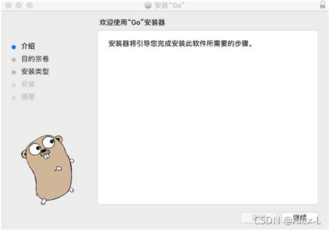 安装go语言及搭建go语言开发环境新windows Go安装go11514 Csdn博客