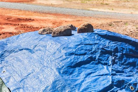 How To Kill A Tree Stump 4 Different Ways