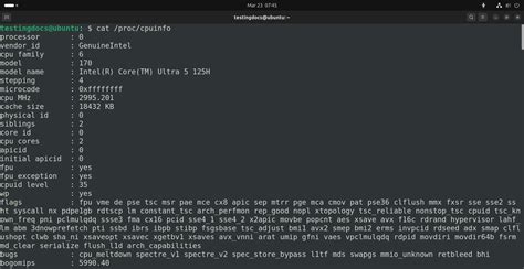 Linux Proc Directory Testingdocs