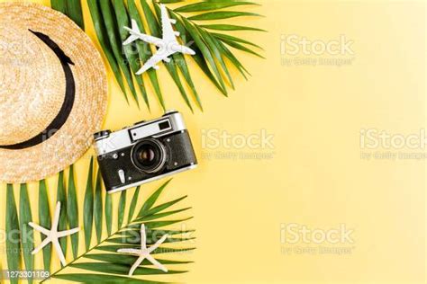 노란색 배경에 여행자 액세서리 개념 복고풍 카메라 모델 비행기 비행기 밀짚 모자와 열대 야자수 잎 0명에 대한 스톡 사진 및 기타 이미지 Istock