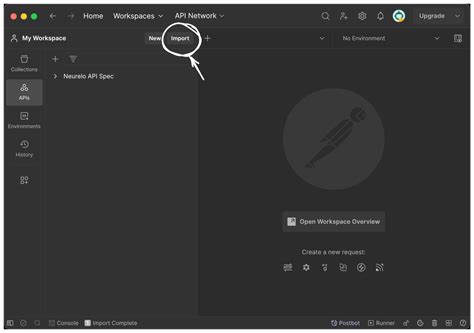 How To Download And Use The Postman Collection For Your Project Neurelo Build Docs