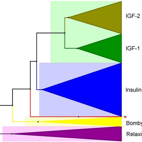 Multiple Sequence Alignment Of Insulin Sequences Human Insulin Download High Resolution