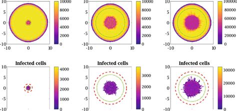 Comparison In One Spatial Dimension Between Numerical Simulation Of The Download Scientific