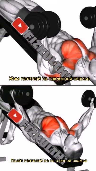 упражнения на грудь Youtube