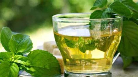 건강한 간을 위한 팁과 자연치료법 건강을 위한 발걸음