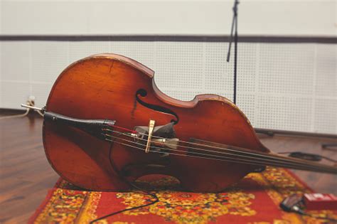 리허설 중 헤드폰을 끼고 있는 콘트라베이스 첼리스트 연주자 스튜디오에서 새 앨범 노래 사운드 녹음 마이크와 뮤지컬 밴드 오케스트라가 있는 첼로 바이올린 연주자 음악 제작 0