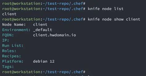 How To Install Chef Infra Server On Debian 12