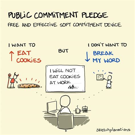 Public Commitment Pledge Sketchplanations
