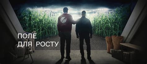 Olta Сучасний дизайн інтерєру — це і мистецтво і наука водночас 🤍 А віконні конструкції