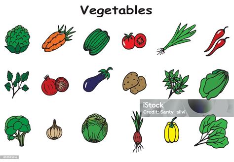 손으로 그린 야채 낙서그림 샐러드 상 추 야채 양배추 칠리 페 퍼의 집합 가지 채소에 대한 스톡 벡터 아트 및 기타 이미지 가지 채소 건강한 생활방식 건강한 식생활