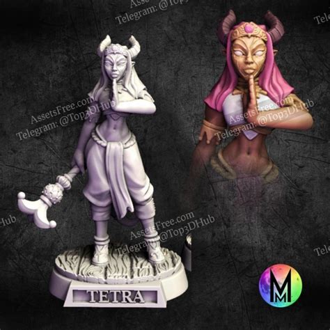 Tetra Free High Quality Models