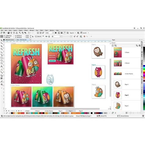 Coreldraw Graphics Suite Windows Mac Naijasoftwares Top Rated Software Store