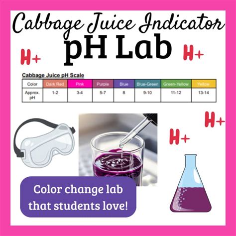 Cabbage Juice Indicator Ph Lab By Anyone Can Science Tpt