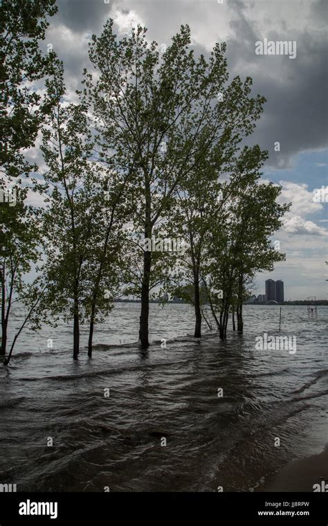 Trees Flooding Stock Photo Alamy