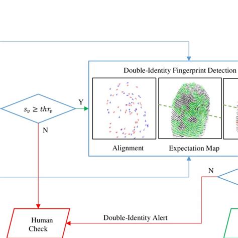Functional Schema Of The Proposed Fingerprint Verification Procedure Download Scientific