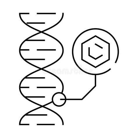 Dna Molecular Structure Line Icon Vector Illustration Stock