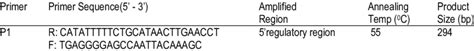 The Sequence Amplified Region Annealing Temperature And Product Size