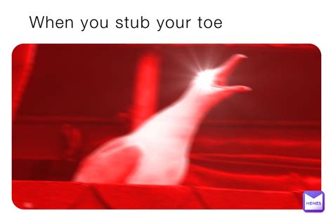 When You Stub Your Toe Gavin Whitlock Memes