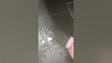 마지막엔 귀여운 포차코 산리오캐릭터 포차코 Youtube