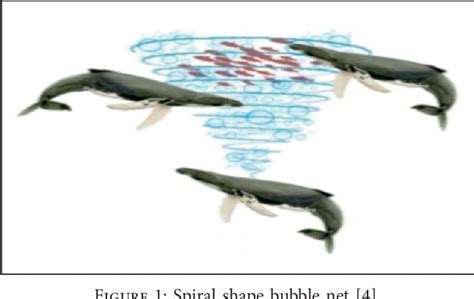 Figure 1 From A Systematic And Meta Analysis Survey Of Whale