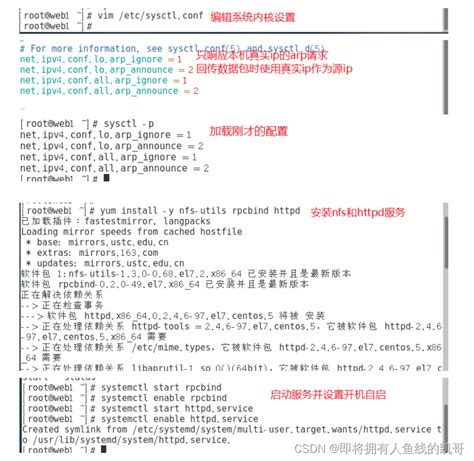 高效多用的群集之部署lvskeepalived 高可用群集（dr模式）lvsdr模式下怎么抑制ipv6的ndp Csdn博客