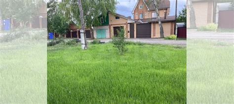 Семена газона газон газонная трава купить в Самаре Товары для дома и дачи Авито