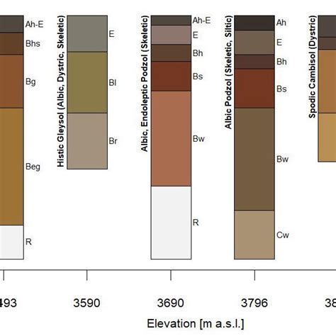 The Elevational Gradient Of Soil Profiles From Broadleaf To Cool