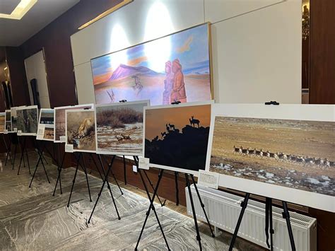 Цагаан зээрийн холбоос нутаг бэлчээр нутгийг хамгаалцгаая уриан дор зохион байгуулагдаж буй