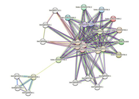 Do Bioinformatics Analysis For You By Sarah Nofal Fiverr