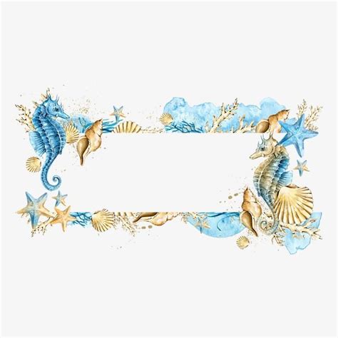 seashell border png