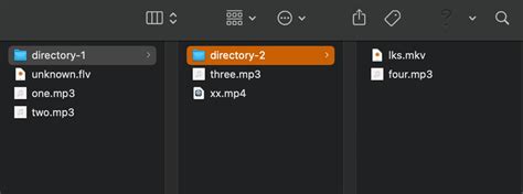 Java Program To Find All Files With Given Extension In A Directory And