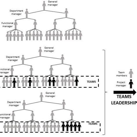 Figure Formal Organisational Structures Functional Balanced Matrix Download Scientific