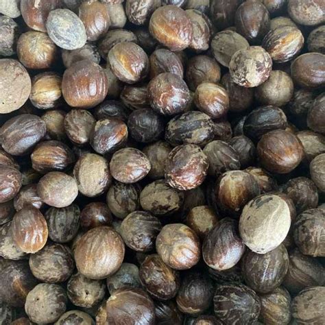 Jual Biji Buah Pala 1 Kg Di Seller Daudsadikin93 Tegal Sari I Kota