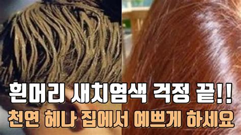 흰머리 새치염색 걱정 끝내세요 집에서 정말 예쁘게 천연 헤나 염색 됩니다 머릿결 좋아지는 법 머리결 굵어지는 법 Youtube