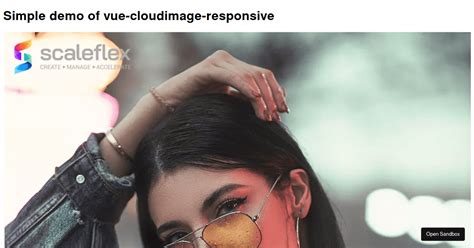Vue Cloudimage Responsive Example Codesandbox