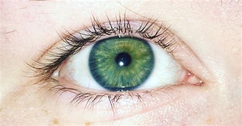 What Eye Colour Do You Find Especially Attractive In The Opposite Sex GirlsAskGuys