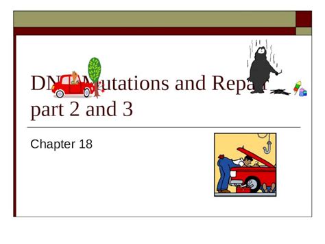 Ppt Dna Mutations And Repair Part 2 And 3 Dokumen Tips