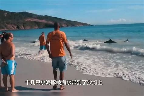 男子在海边发现一条大鱼，走近一看有些懵，镜头记录全过程