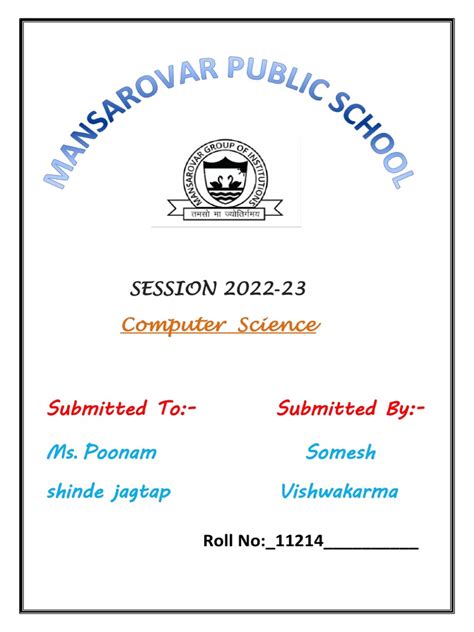 cs project pdf
