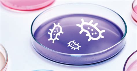 Sctbio On Linkedin Towards Rapid Microbial Testing Methods