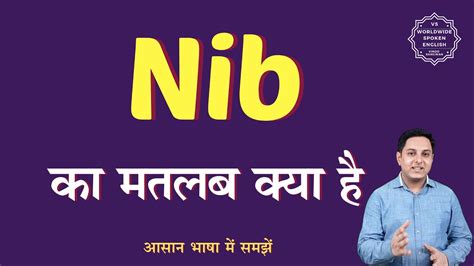 Nib Meaning In Hindi Nib Ka Matlab Kya Hota Hai English To Hindi Youtube