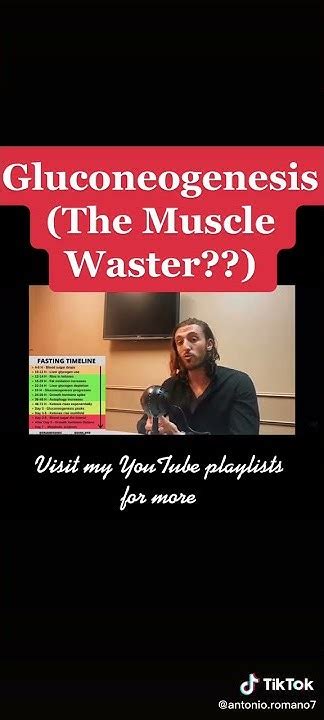 Gluconeogenesis The Muscle Waster Youtube