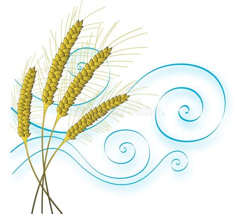 Wheat Chaff Stock Illustrations 110 Wheat Chaff Stock Illustrations Vectors And Clipart