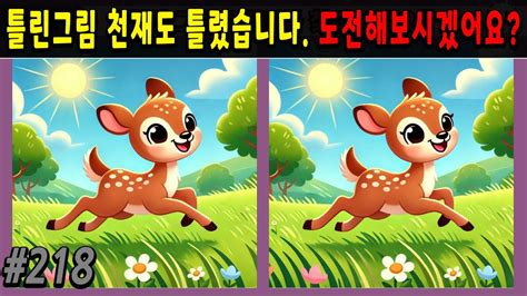 다른그림찾기틀린그림찾기 60세 이상 필수 치매예방 두뇌운동 숨은 그림 찾기 쉬운 게임 218 Youtube