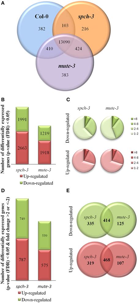 Comparative Transcriptomic Analysis Of Spch 3 Mute 3 And Col 0