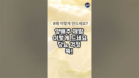 양배추 먹을때 이렇게 먹으면 최고양배추 제발 이렇게 드세요고지혈증과 당뇨걱정 뚝 슈퍼푸드 양배추 제대로 드시는법양배추 효능 건강 정보양배추효능 양배추 건강
