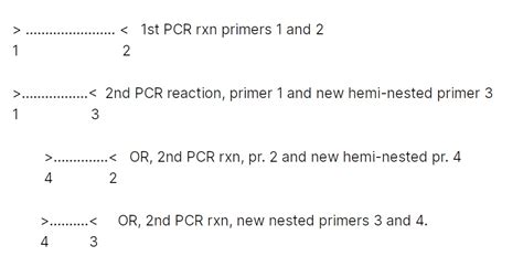 What Is The Difference Between Nested And Semi Nested PCR In Molecular Detection Of Parasites